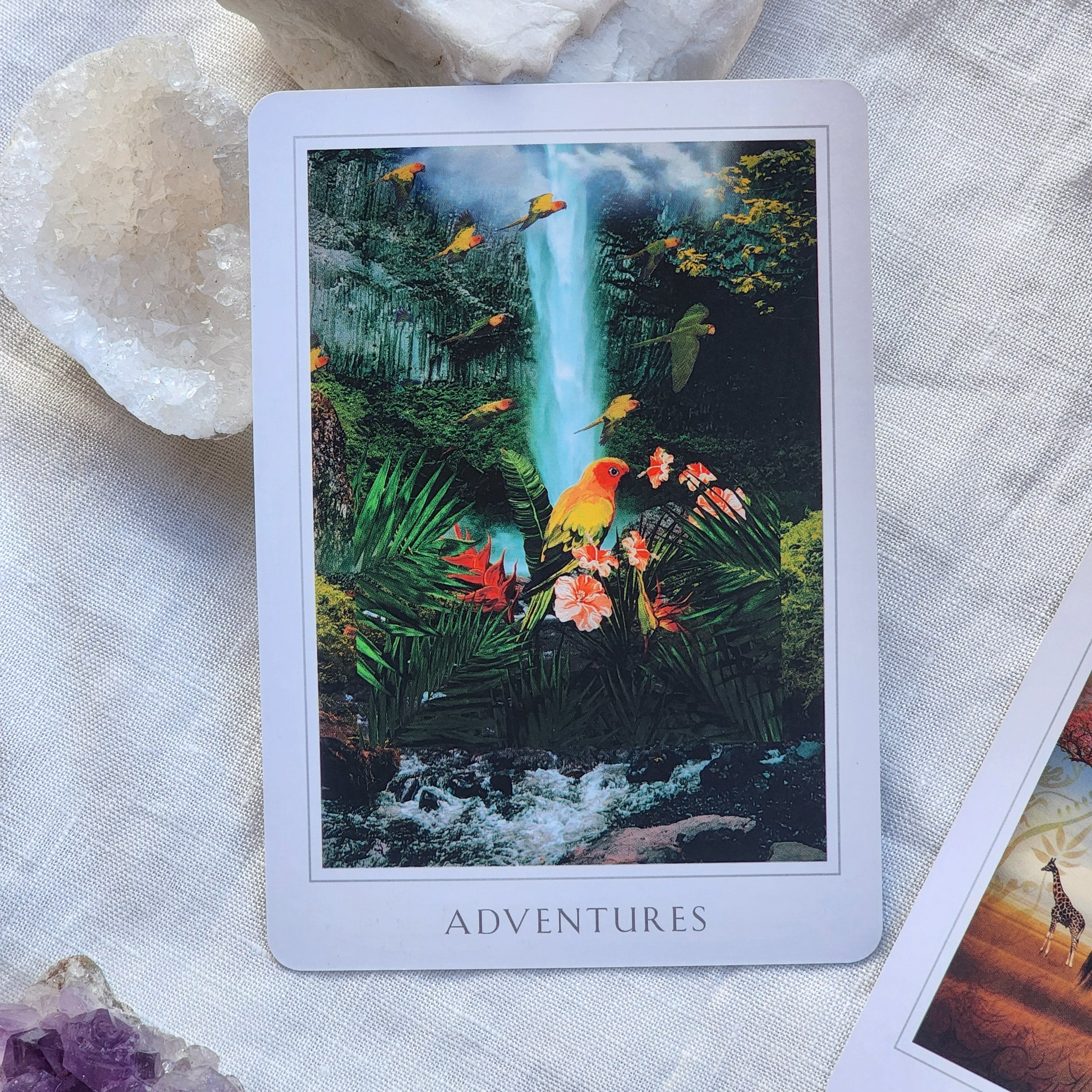 Sacred Destiny Oracle Cards – Star of Venus